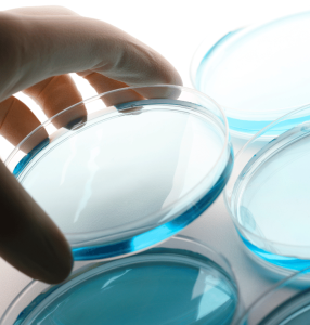 Terminal Sterilization | Sterility Assurance Level 10-6 | NovaSterilis